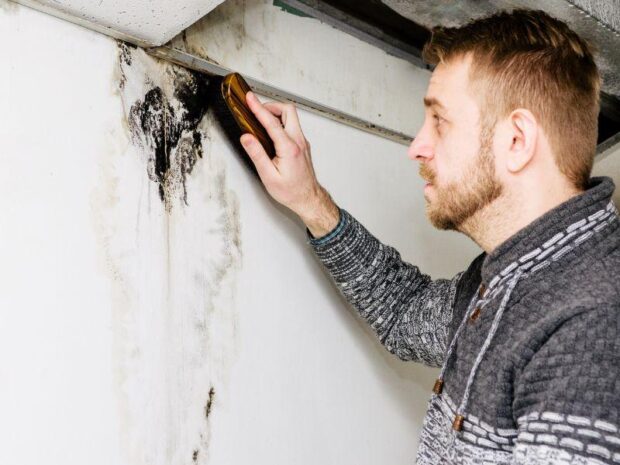 The Ultimate Checklist for Effective Mold Inspection - Now and Past